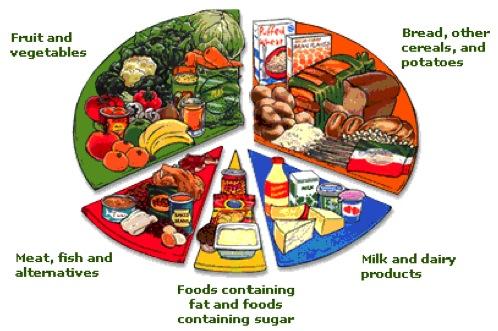Know Your Food Groups: Fats | Superprof