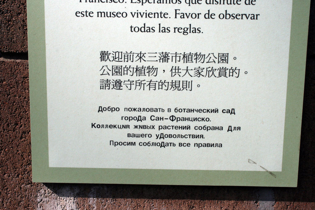 Building Sentences in Russian | Superprof