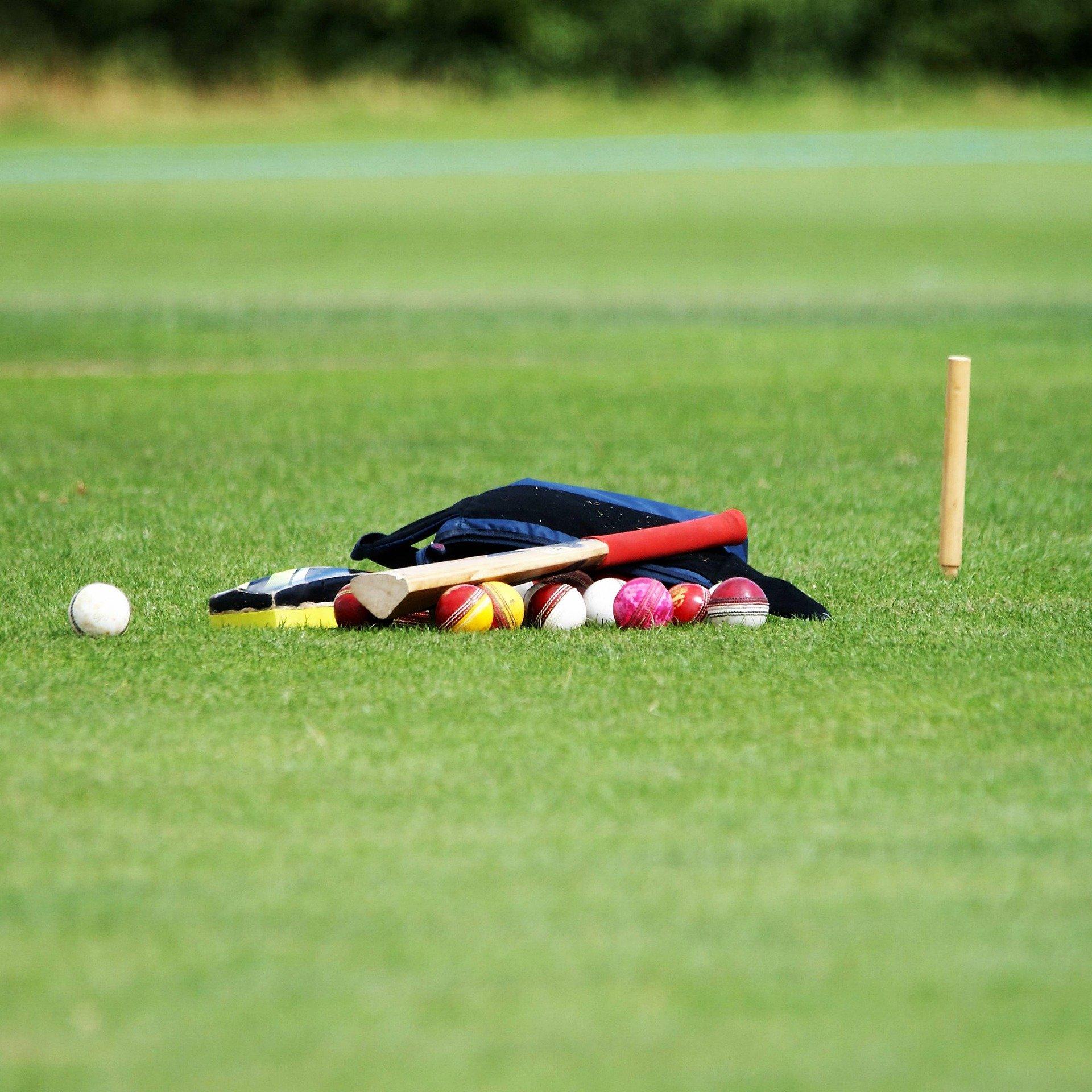 All You Need to Know About Cricket Coaching in India