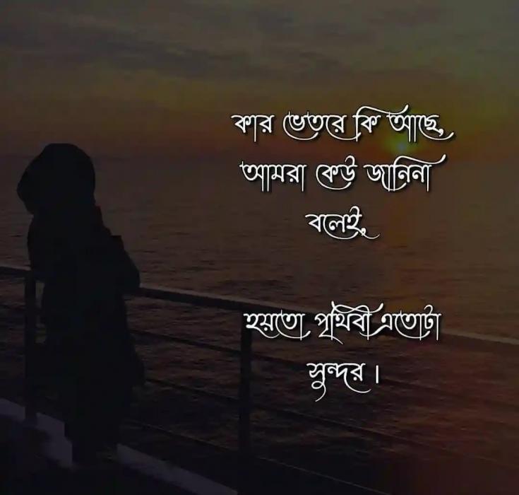Funny Bengali Facebook Quotes 79 Fun Ideas In 2025 | Bangla Funny