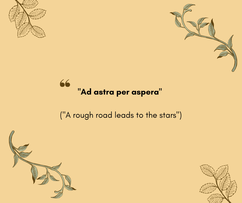 Latin Proverbs About Life Enjoy Life Before It Is Too Late,